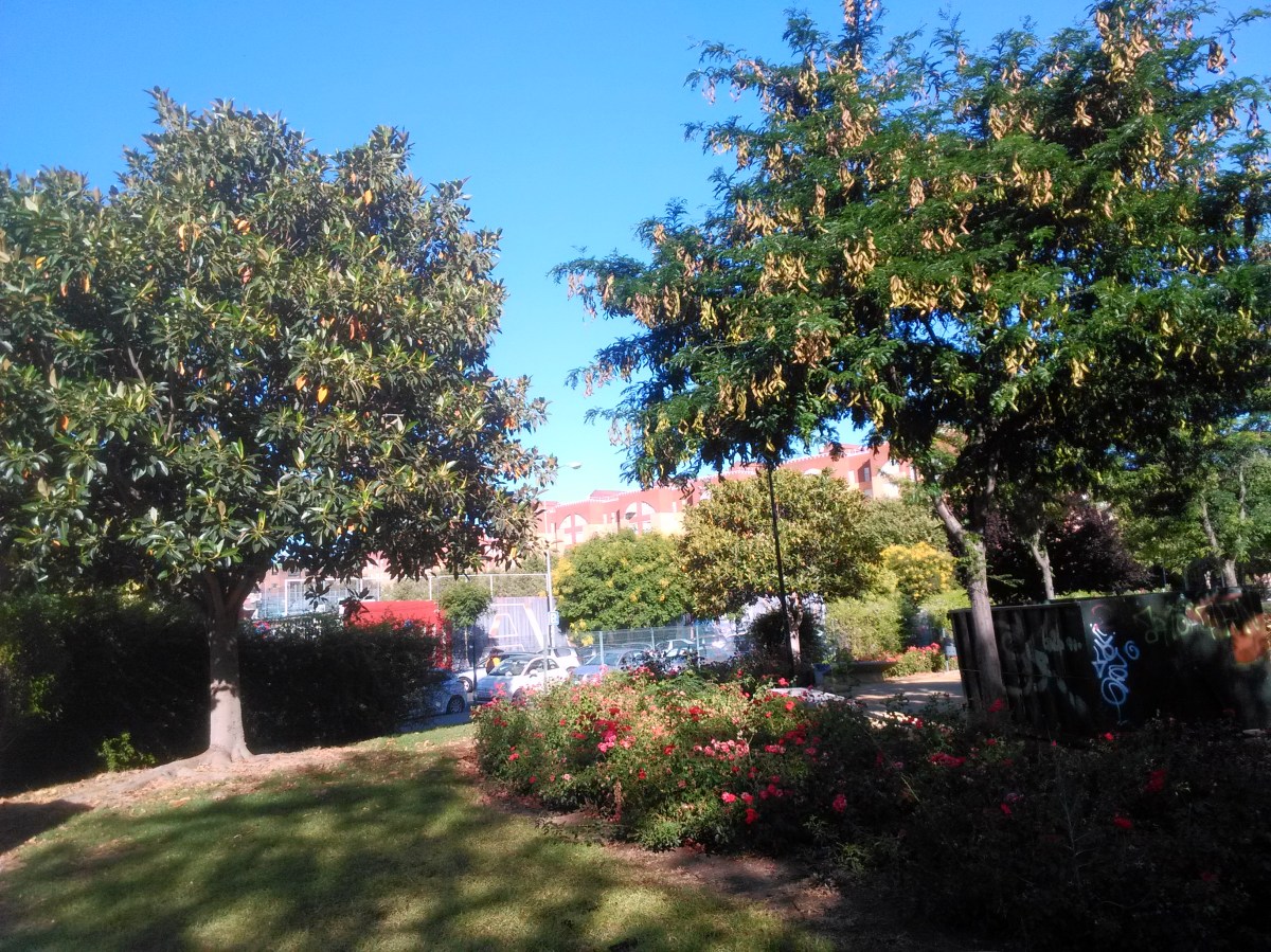 SUMMER BRANCH DROP (SBD). CONOCIMIENTO Y LIMITACIONES EN ESPAÑA ...