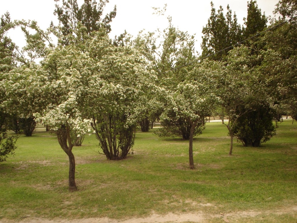 Parque del Alamillo – Jardines sin fronteras