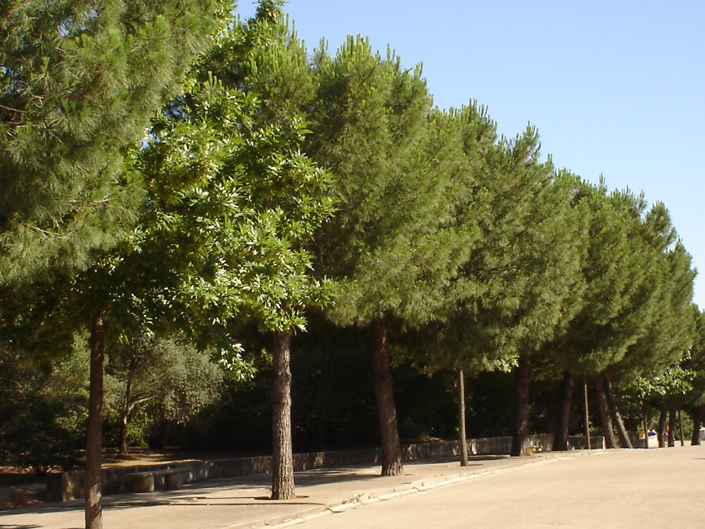 Parque del Alamillo – Jardines sin fronteras