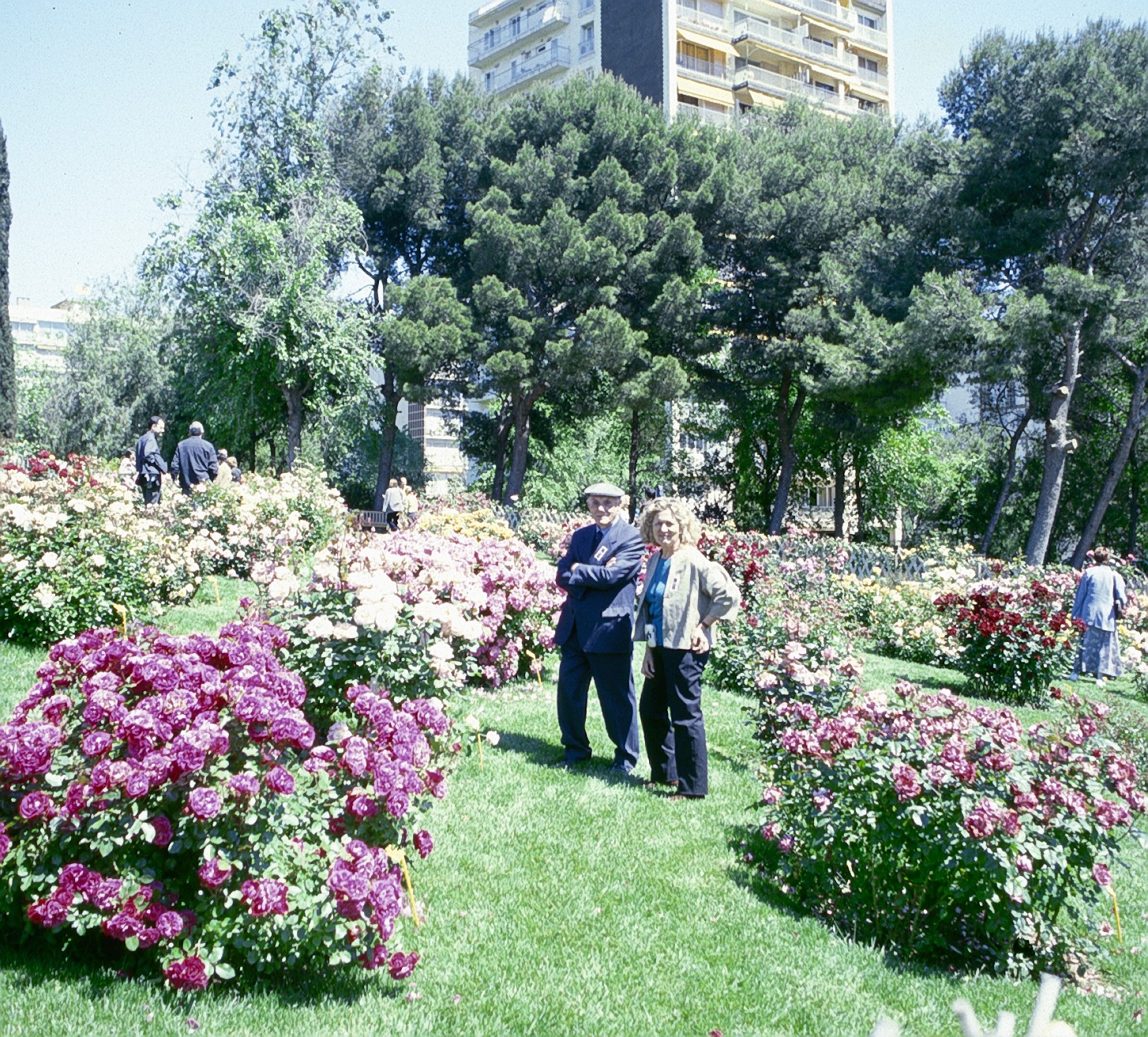 Rosaleda del Parque Cervantes – Jardines sin fronteras