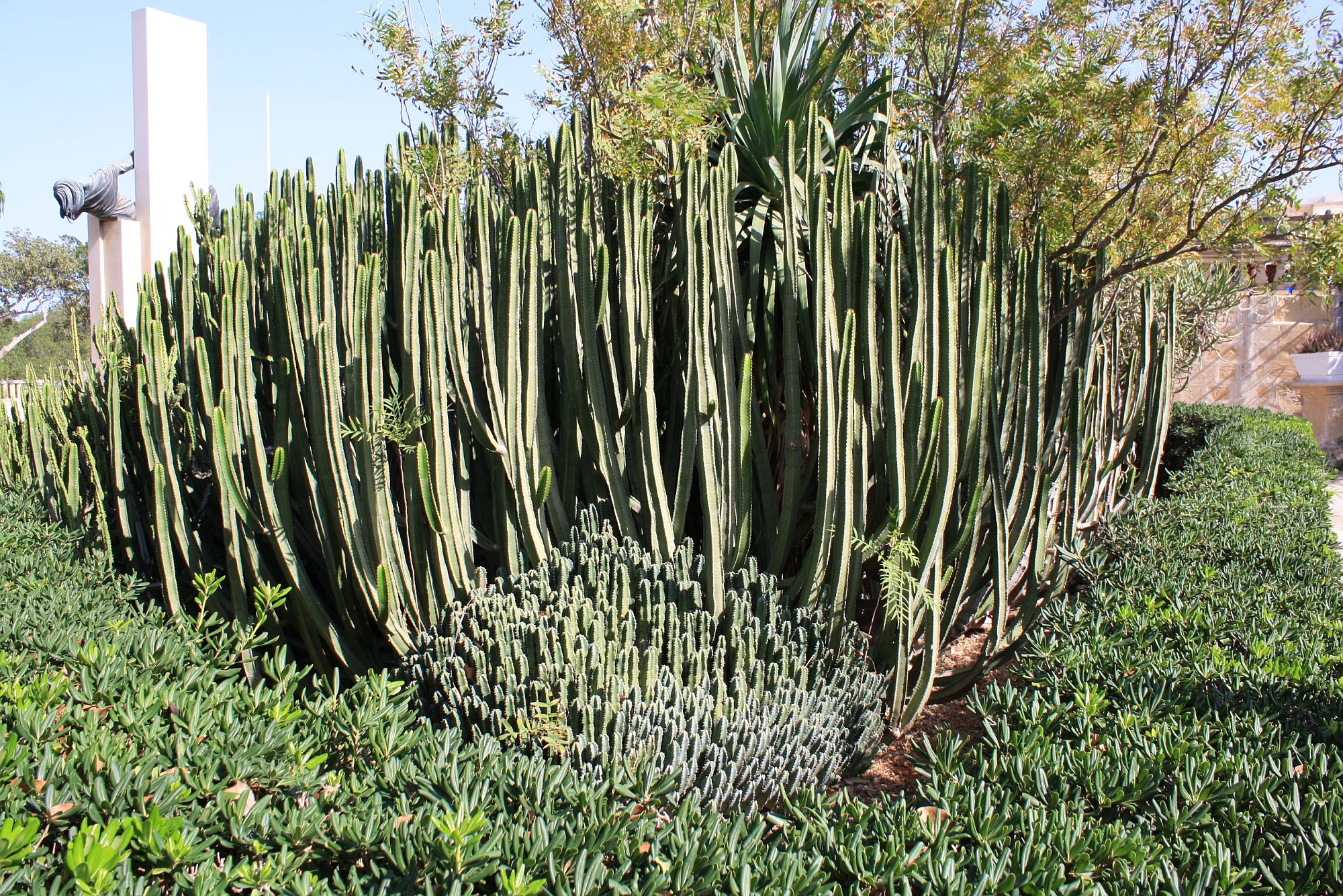 Jardines en Malta – Jardines sin fronteras