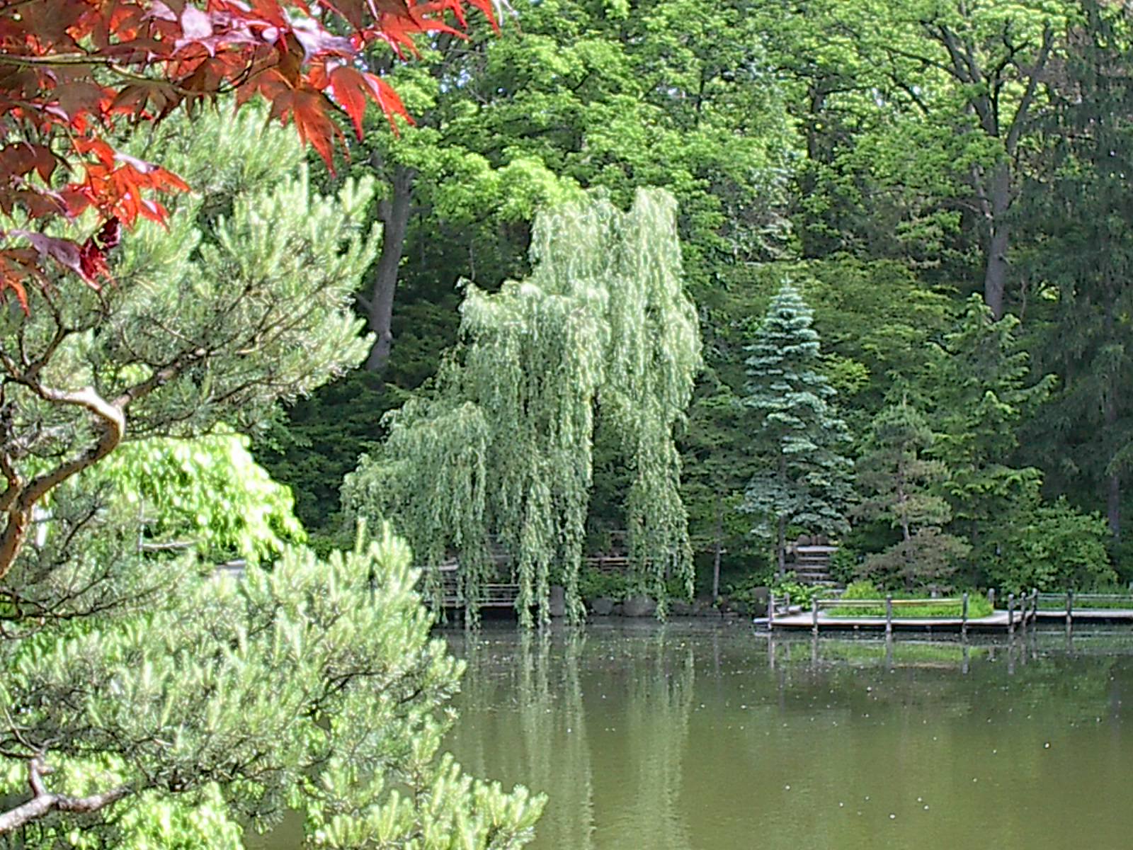 Illinois – Jardines sin fronteras