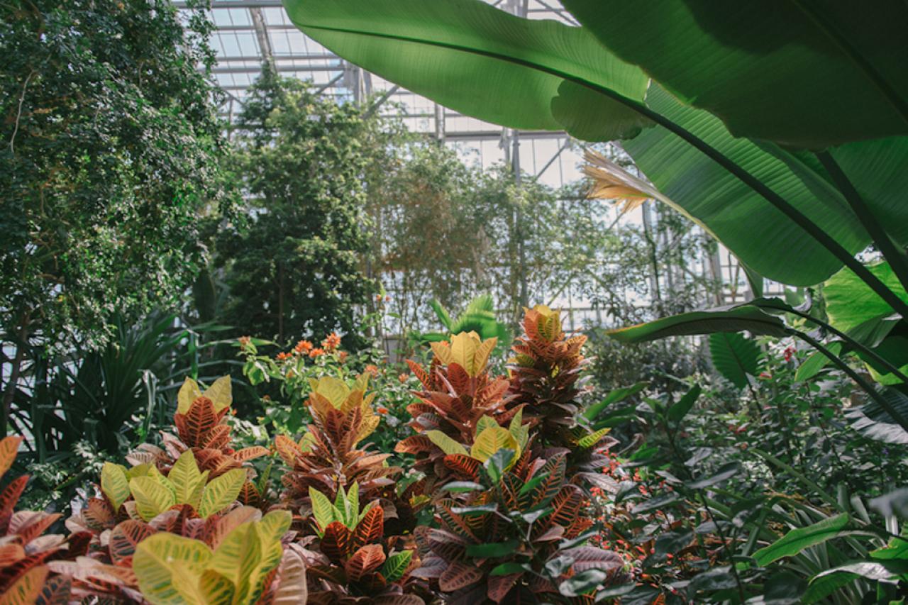 Estados de Michigan, Wisconsin y Minnesota – Jardines sin fronteras