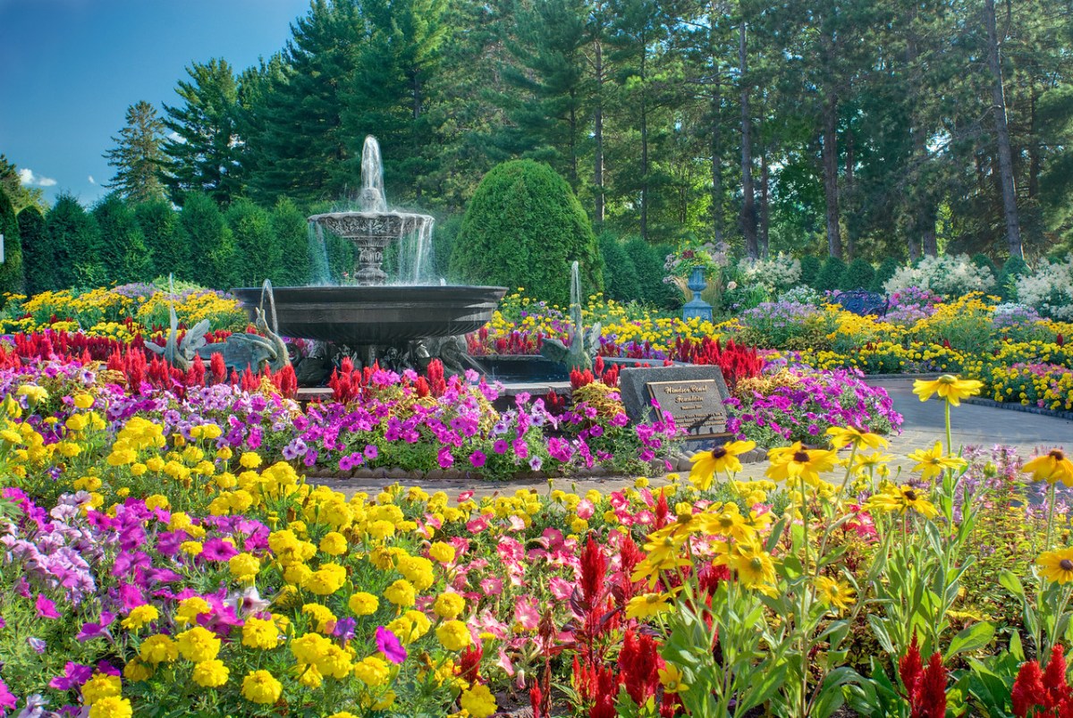 Estados de Michigan, Wisconsin y Minnesota – Jardines sin fronteras