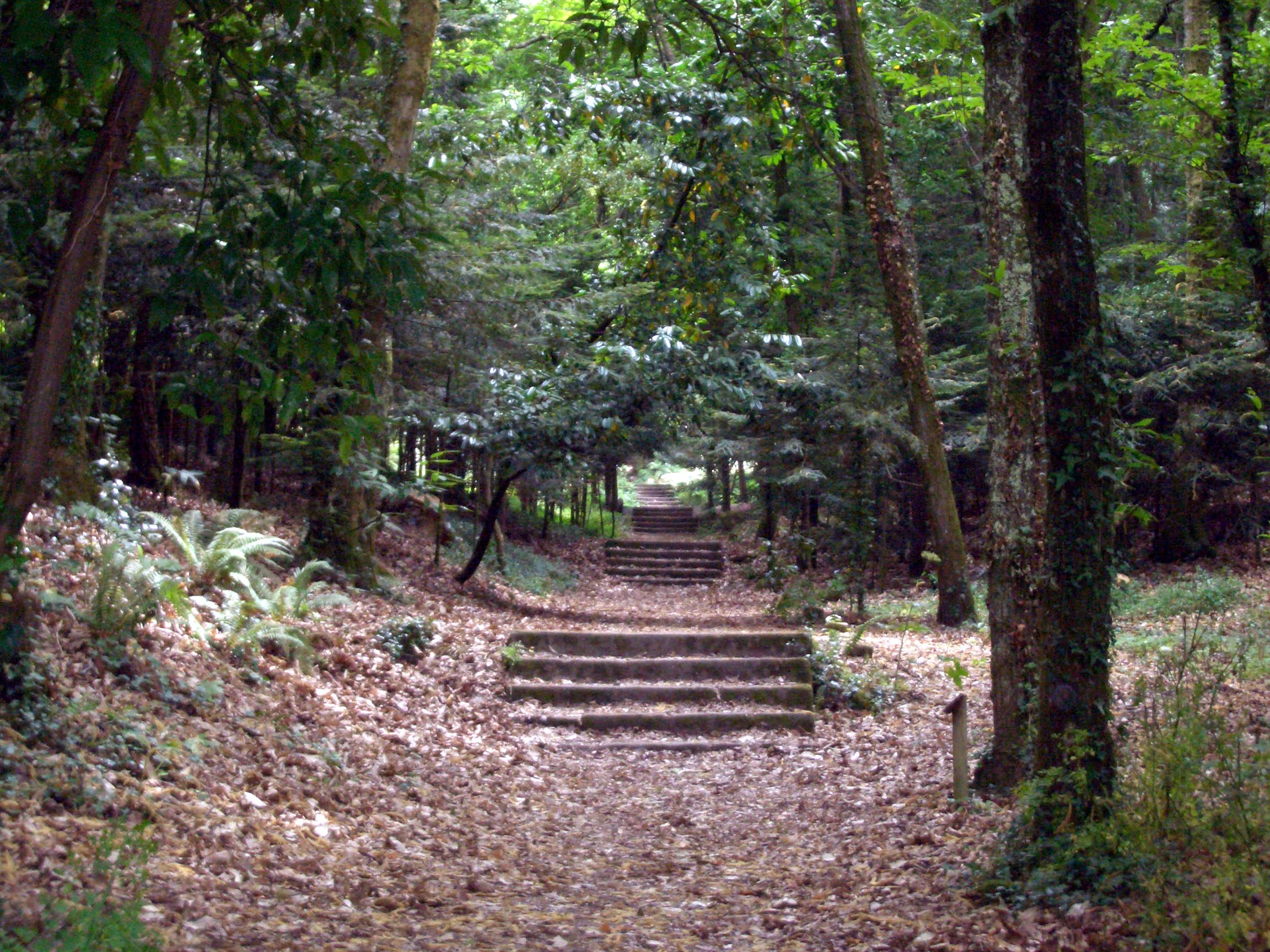 ARBORETUMS EN ESPAÑA – Jardines sin fronteras