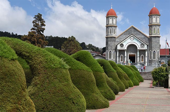 INTRODUCCION AL ARTE TOPIARIO – Jardines sin fronteras
