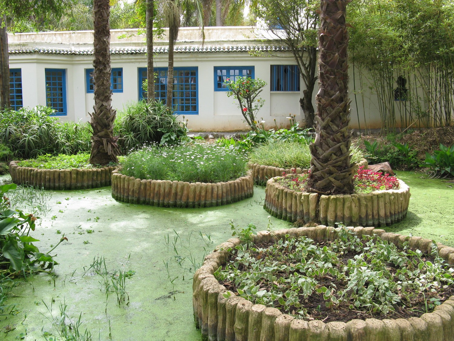 JARDINES EXÓTICOS EN MARRUECOS.-JARDIN BOUKNADEL – Jardines sin fronteras