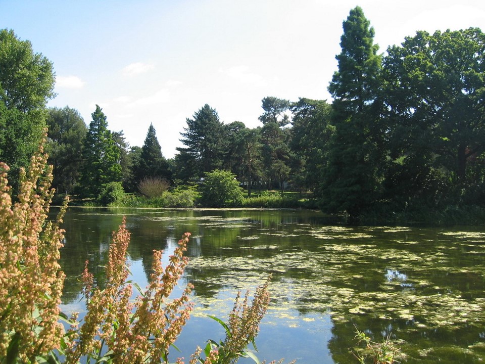 LAGOS Y OTROS CUERPOS DE AGUA – Jardines sin fronteras