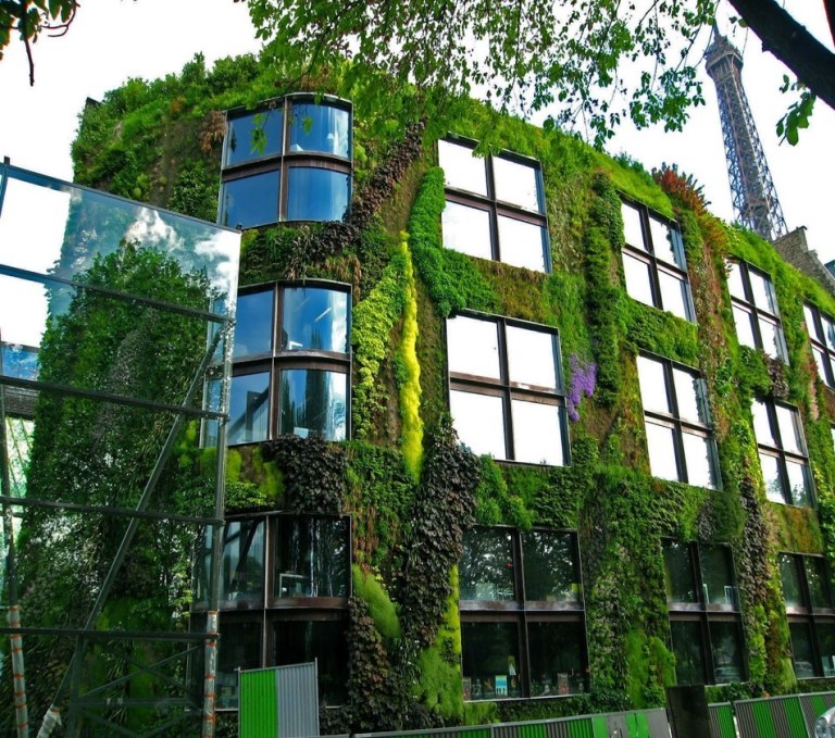 MUROS VERDES Y JARDINES VERTICALES – Jardines sin fronteras