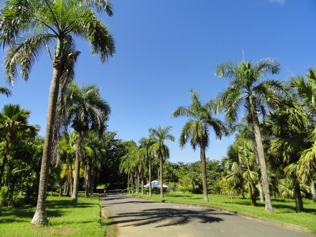 AMÉRICA.-LA VUELTA AL MUNDO EN 385 JARDINES.-PUERTO RICO.-Jardin ...