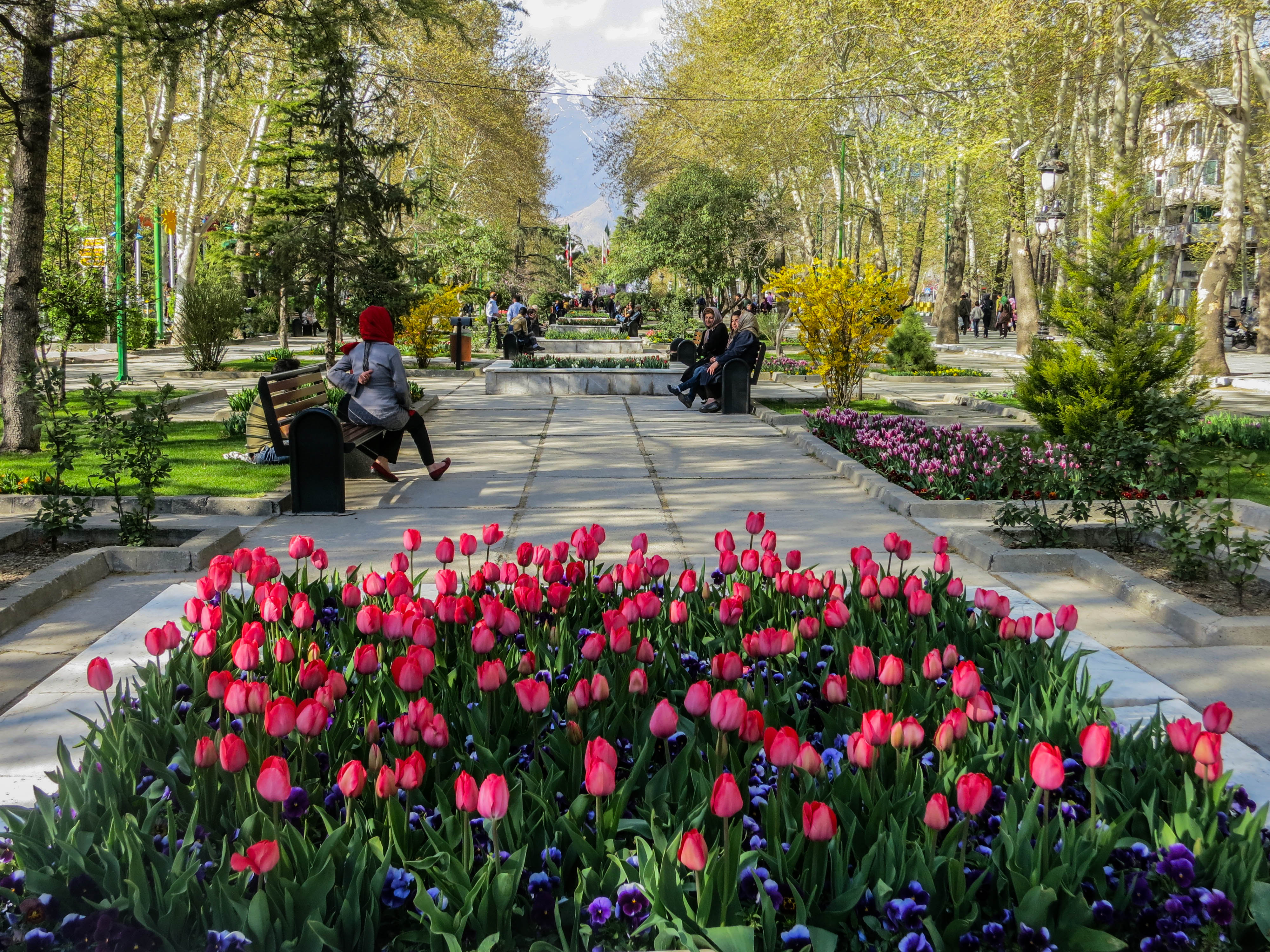 ASIA.-LA VUELTA AL MUNDO EN 885 JARDINES.-IRAN.-Niavaran Park.-Teheran ...