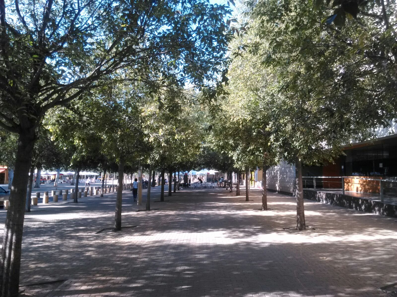 SOMBRA, CLIMA Y ARBOLES. – Jardines sin fronteras