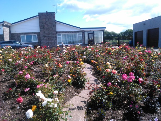 ROTHIENORMAN.– – Jardines sin fronteras