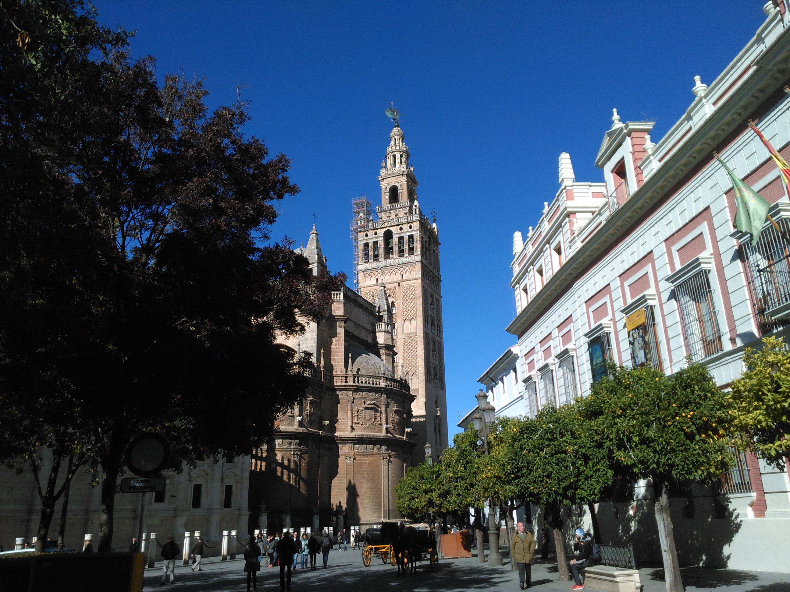 PLANTAS Y JARDINES DE SEVILLA.-2018 – Jardines sin fronteras