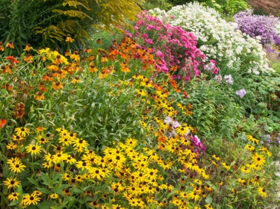 LA IMPLANTACIÓN DE PRADERAS NATURALES DE FLOR – Jardines sin fronteras