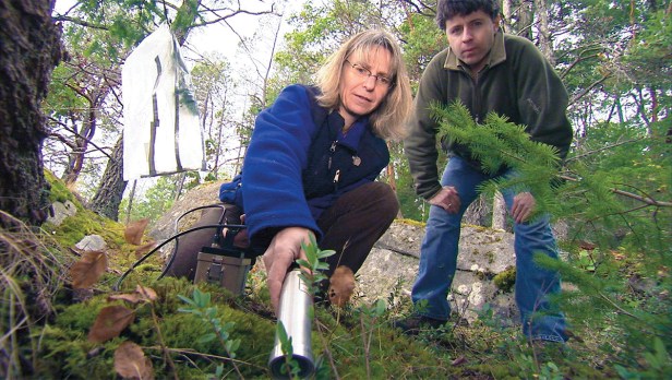 EL IDIOMA DE LOS ARBOLES .-DE COMO SE HABLAN ENTRE SI – Jardines sin ...