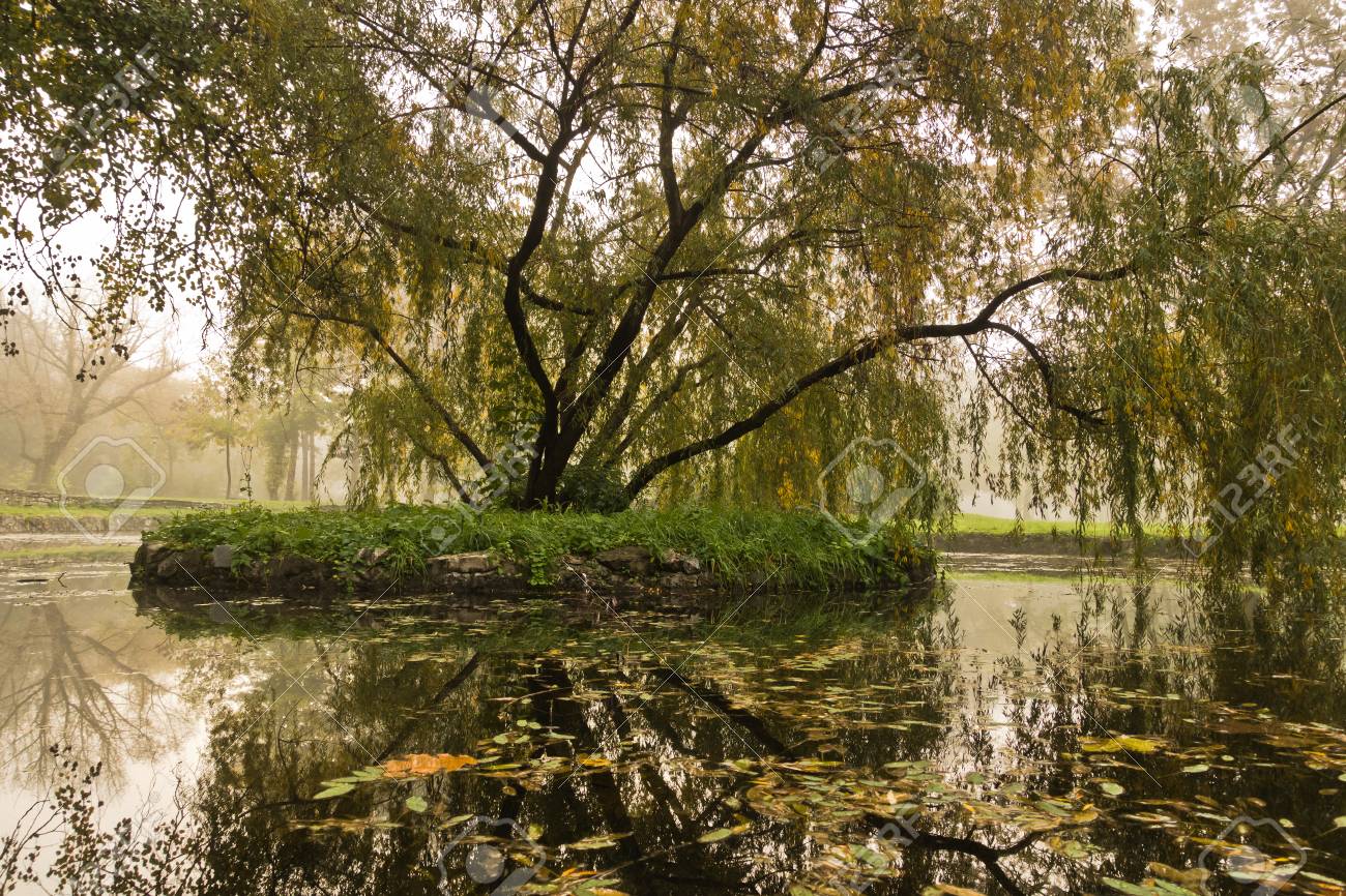 EUROPA DEL ESTE.-JARDINES DE BELGRADO.-SERBIA – Jardines sin fronteras