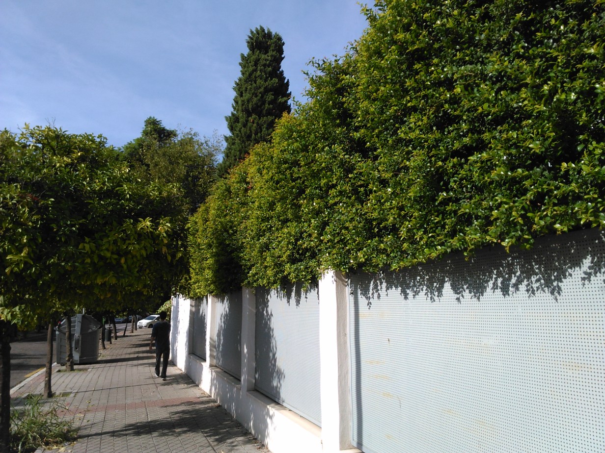 LOS SETOS SELECCIÓN,PLANTACION Y MANTENIMIENTO – Jardines sin fronteras