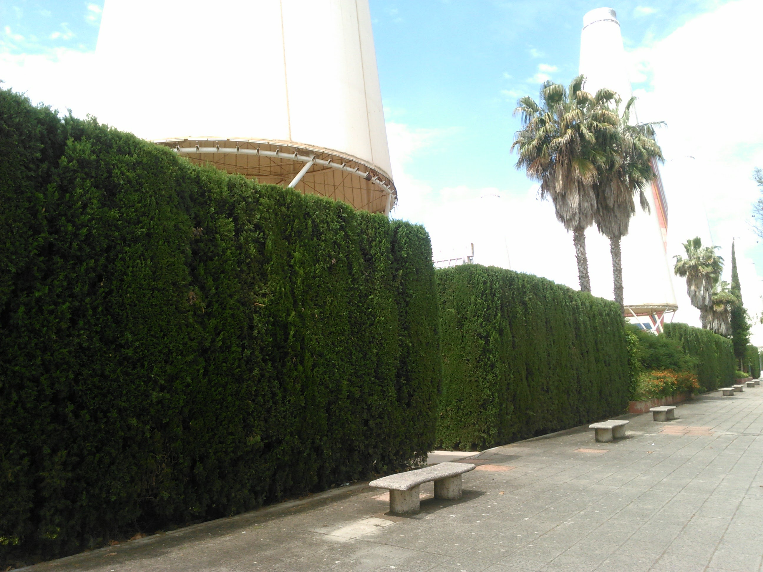 LOS SETOS SELECCIÓN,PLANTACION Y MANTENIMIENTO – Jardines sin fronteras