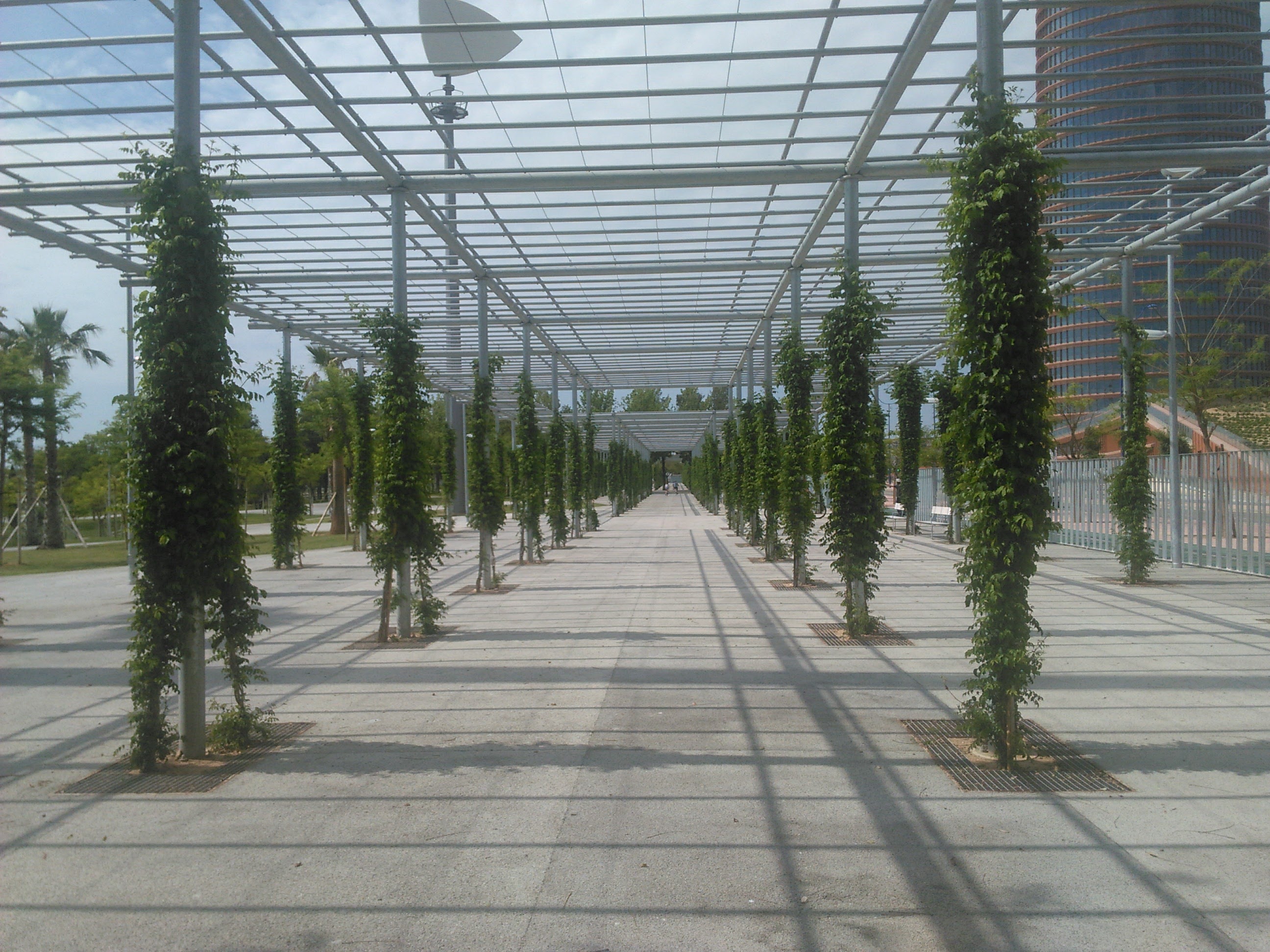 DE LA PERGOLA CLASICA A LA PERGOLA URBANA – Jardines sin fronteras