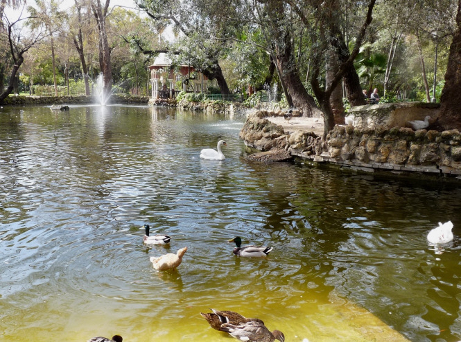 PLAN ESPECIAL PARA LA INTEGRACION DEL PARQUE DE MARIA lUISA – Jardines ...