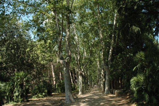 EL PARC SAMÁ – Jardines sin fronteras