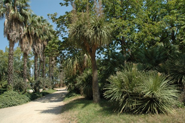 EL PARC SAMÁ – Jardines sin fronteras