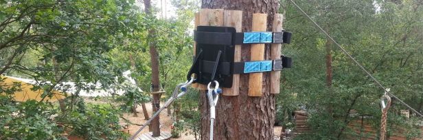 LA MEJOR MANERA DE ESTABILIZAR LOS ARBOLES – Jardines sin fronteras