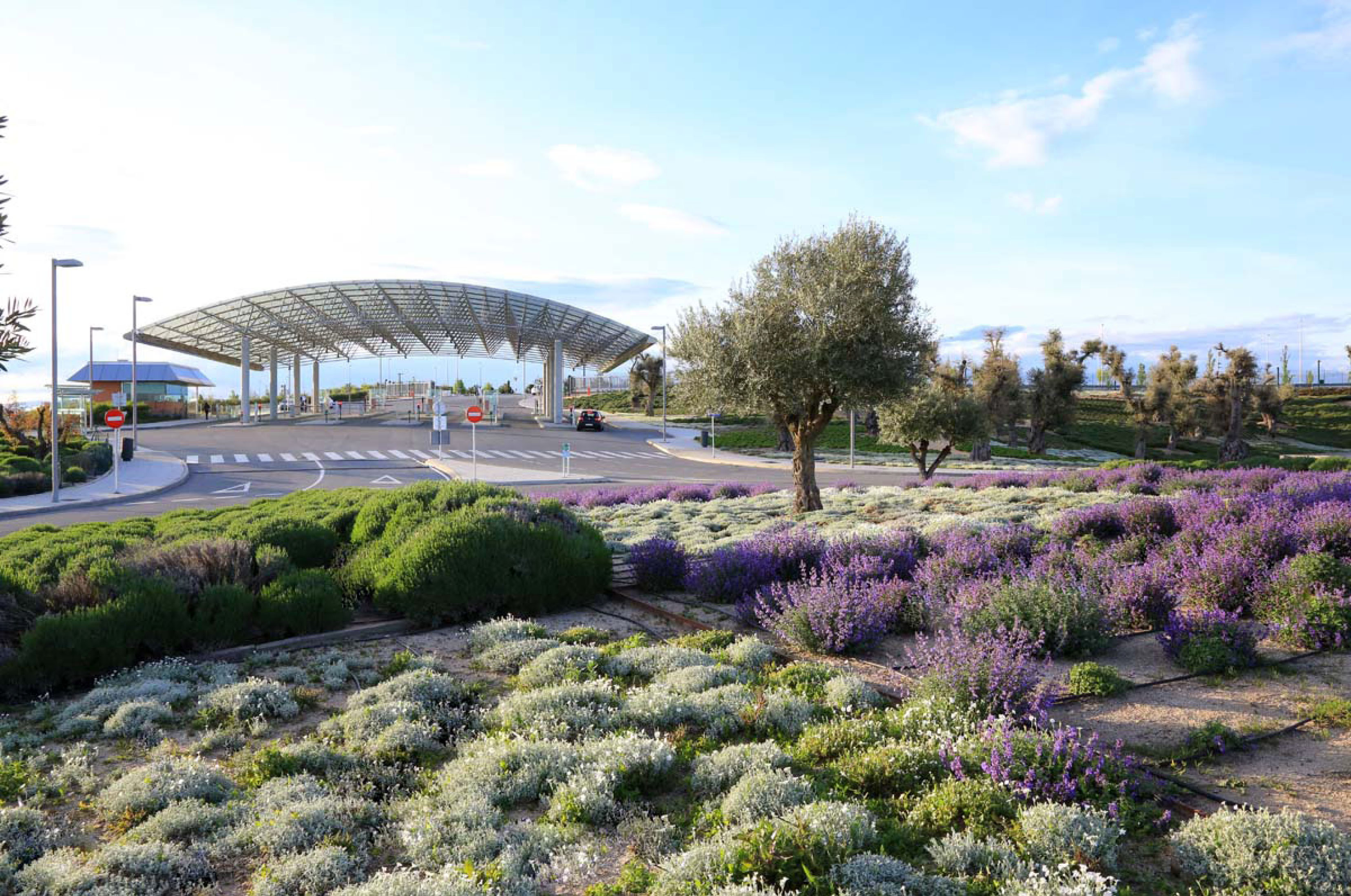 JARDINES DE LA SEDE DE LA CIUDAD FINANCIERA DEL BANCO DE SANTANDER ...