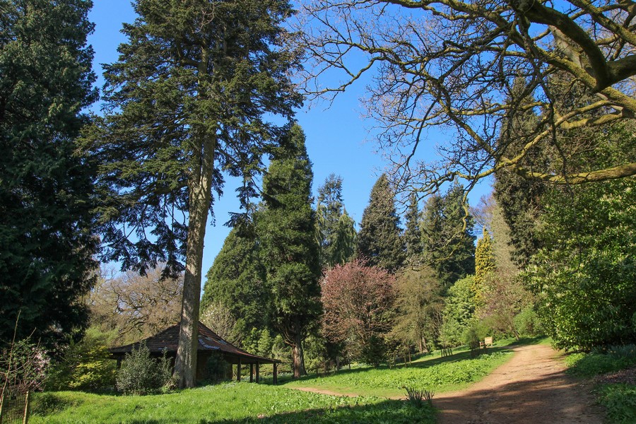 QUÉ ES UN ARBORETO (Arboretum) – Jardines sin fronteras