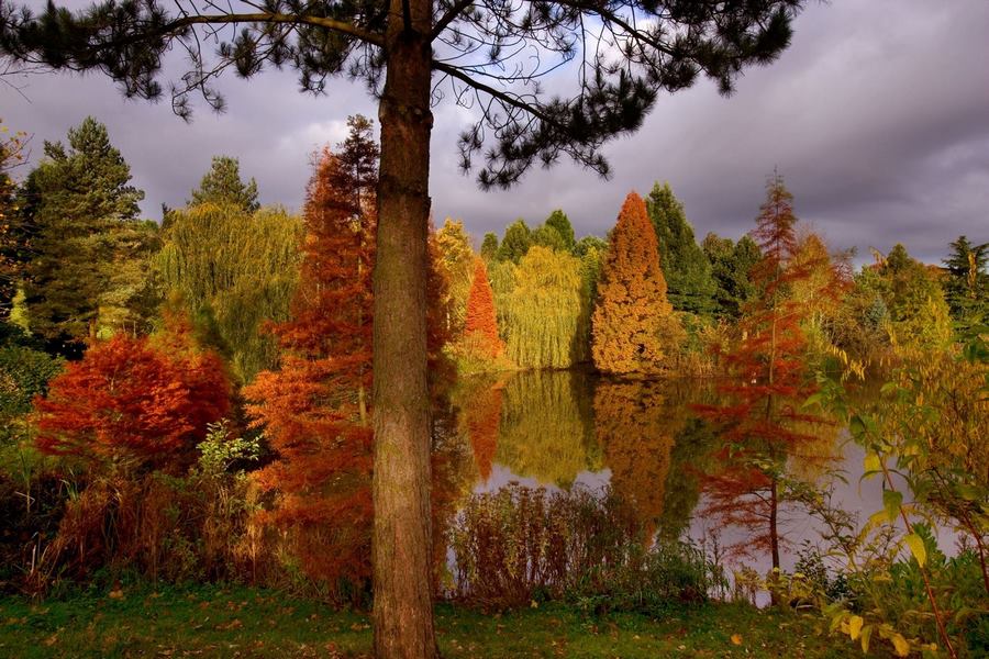QUÉ ES UN ARBORETO (Arboretum) – Jardines sin fronteras